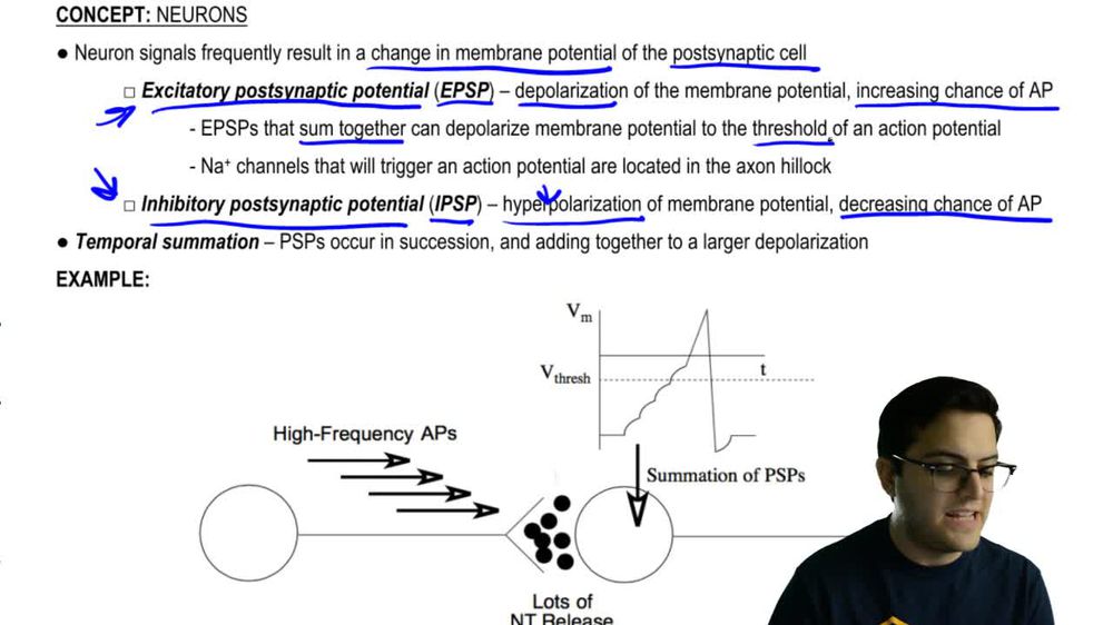 Ion Channels and Pumps | Pearson+ Channels
