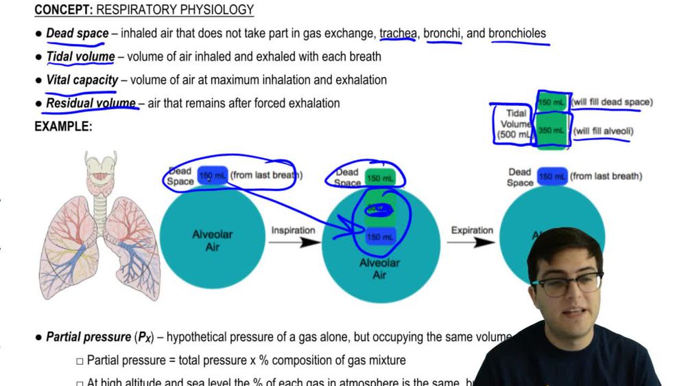 Oxygen Dissociation Curve and the Bohr Shift | Pearson+ Channels