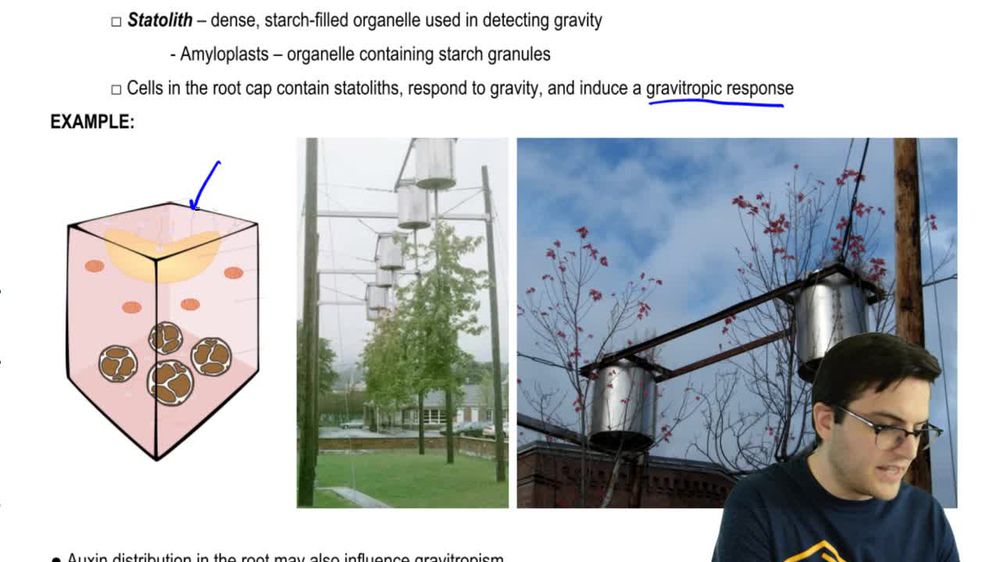 Animation: Binding of Hormones | Pearson+ Channels