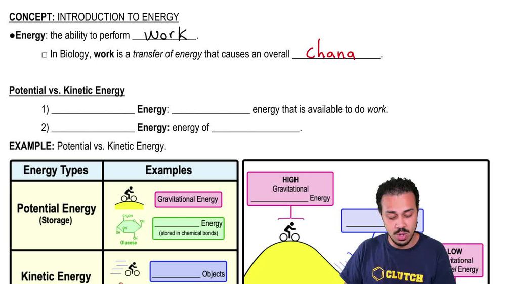 Thermodynamics: System vs. Surroundings | Pearson+ Channels