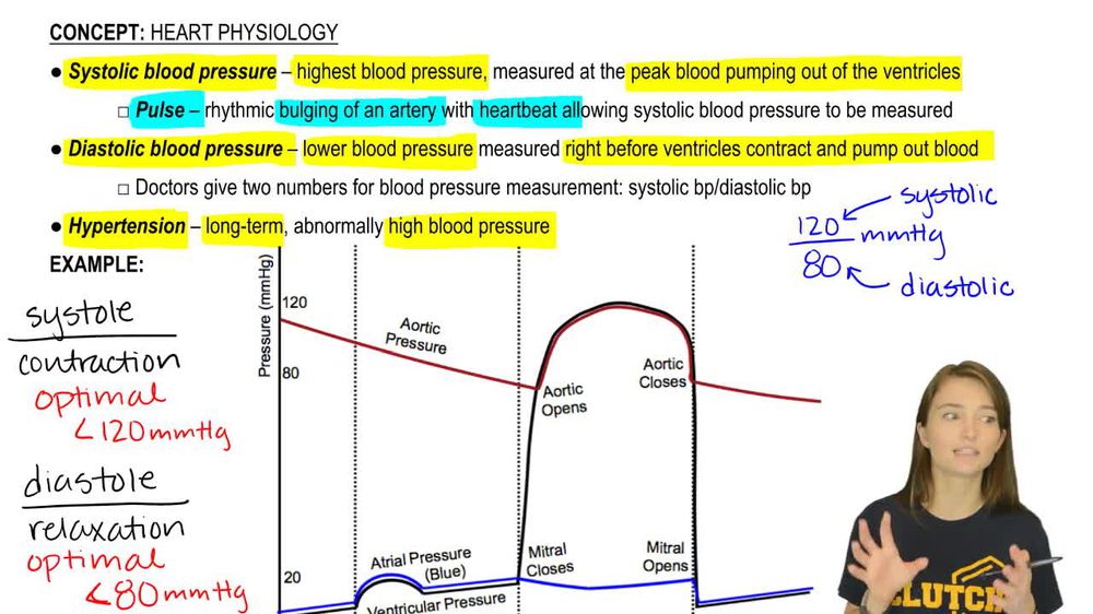 The Cardiac Cycle, Animation | Pearson+ Channels