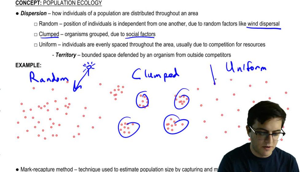 Ecology lab 2 life tables | Pearson+ Channels