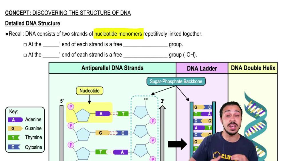 Who is credited with explaining the structure of the DNA double h ...