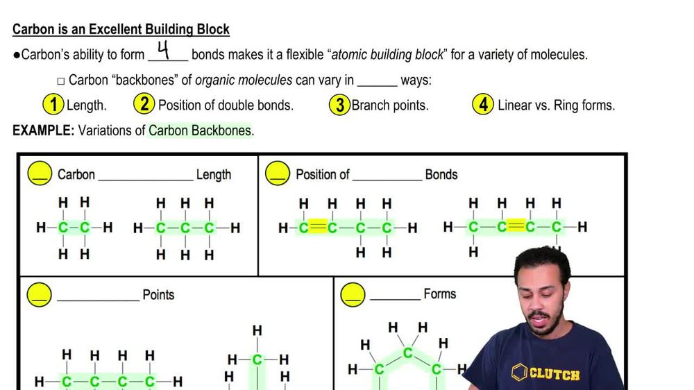 Animation: Diversity of Carbon-Based Molecules | Pearson+ Channels