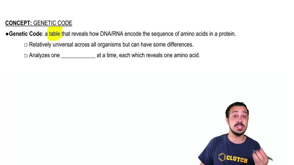 Decode from DNA to mRNA to tRNA to amino acids | Pearson+ Channels