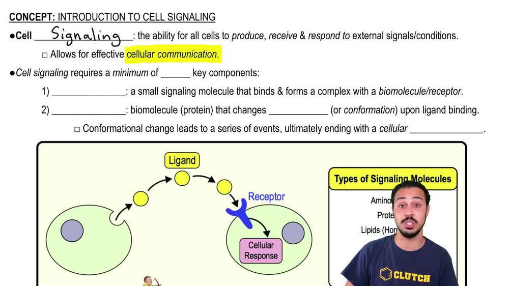 Animation: Overview of Cell Signaling | Pearson+ Channels