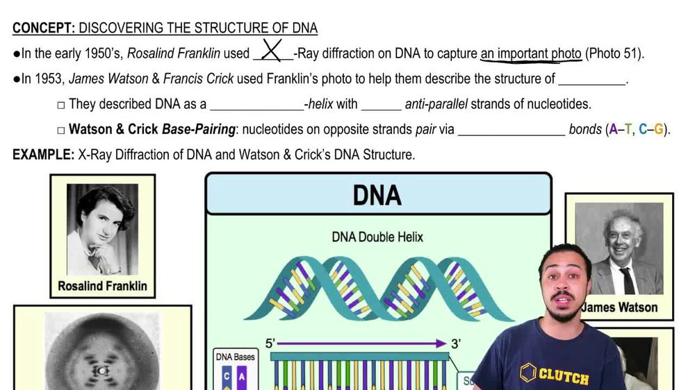 The Secret Of Life Discovery Of DNA Structure Pearson Channels