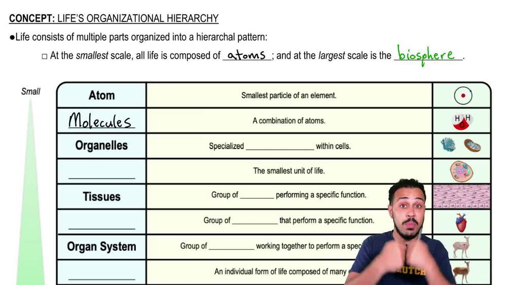 General Biology Video Tutorial & Practice | Pearson+ Channels