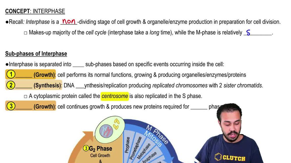 If a cell at G1 contains four picograms of DNA, how many picogram ...