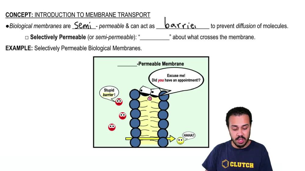 BioFlix: Membrane Transport | Pearson+ Channels