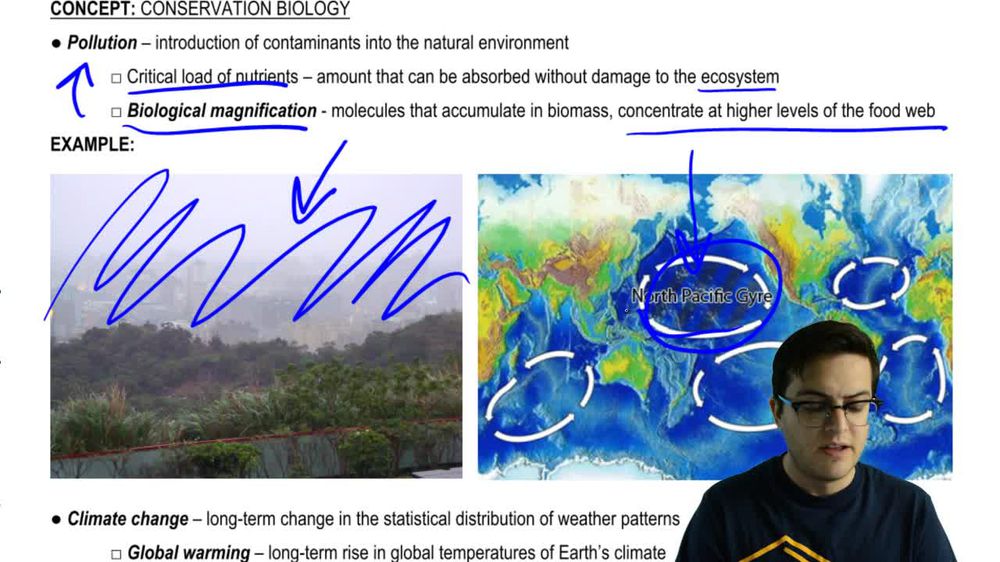 IGCSE biology Human influence on the environment- Habitat destruc ...