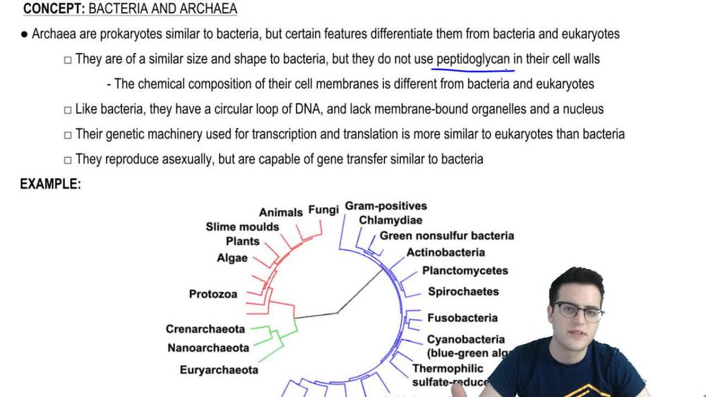 Bacterial flagella have a very complex structure composed of 42 d ...