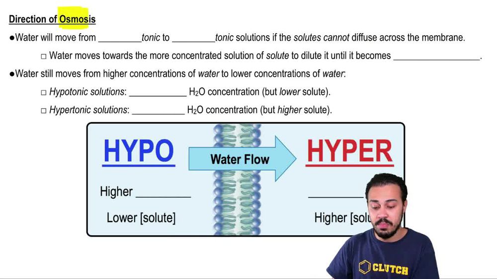 Environmental Tonicity Affects Cells | Pearson+ Channels