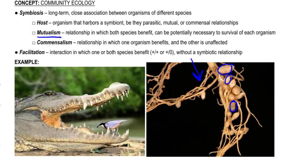 Ecological Relationships-Competition- Predator and Prey- Symbiosi ...
