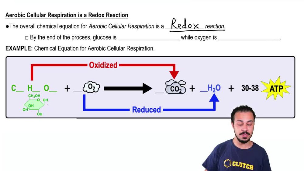 Introduction to Cellular Respiration | Pearson+ Channels