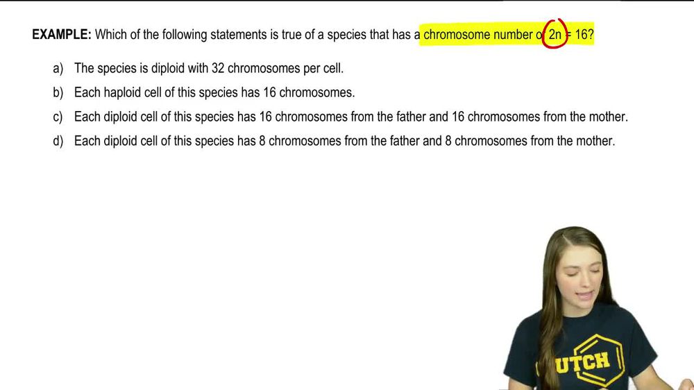 What is a locus? | Pearson+ Channels