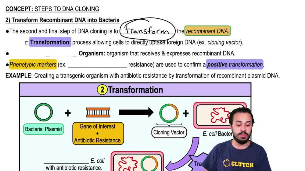 BioInteractive: Genetic Engineering | Pearson+ Channels