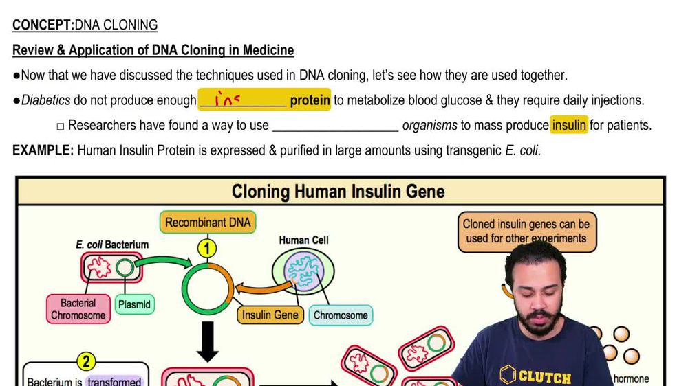 BioInteractive: Genetic Engineering | Pearson+ Channels