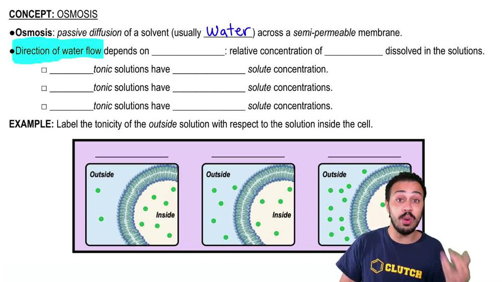 Environmental Tonicity Affects Cells | Pearson+ Channels