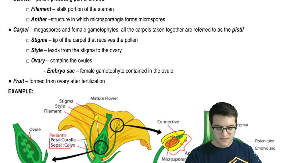 Each pollen grain of a gymnosperm contains a __________. | Pearson+ ...