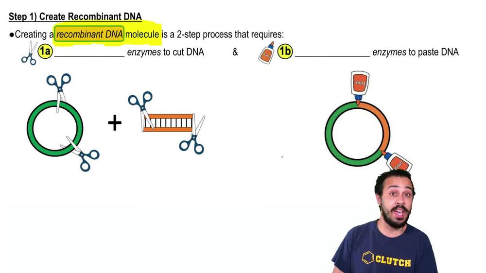 2) Transform Recombinant DNA into Bacteria | Pearson+ Channels
