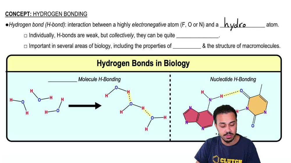 Hydrogen Bonding in Ethanol (C2H5OH) | Pearson+ Channels