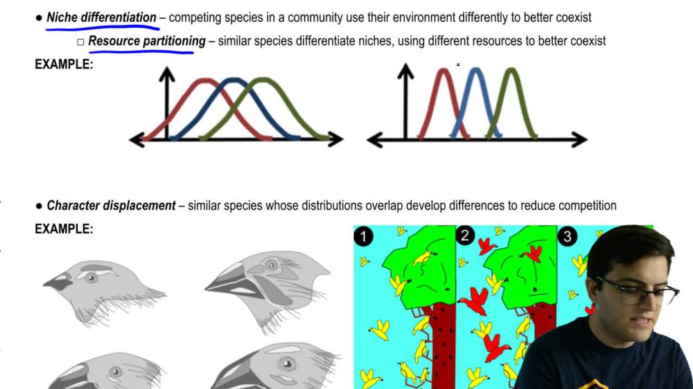 Examples of Symbiotic Relationships in Nature | Pearson+ Channels