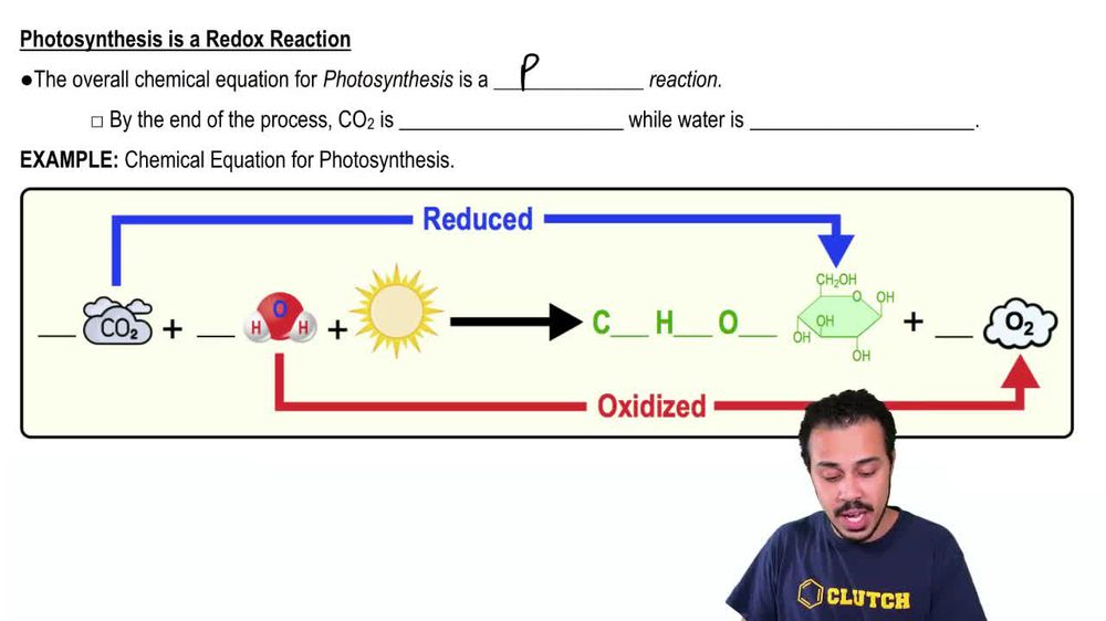 What Is Photosynthesis? | Biology | FuseSchool | Pearson+ Channels