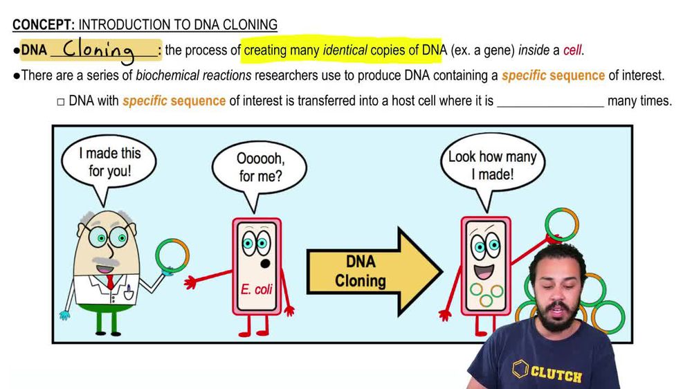 Bacteria use restriction enzymes to __________. | Pearson+ Channels