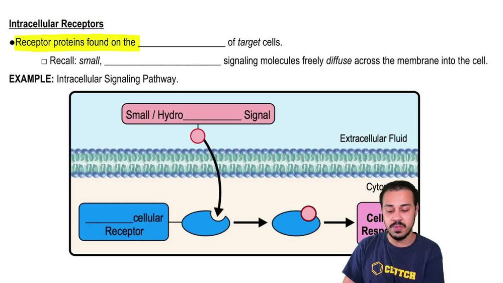 Introduction to Cell Signaling Video Tutorial & Practice | Pearson+ ...