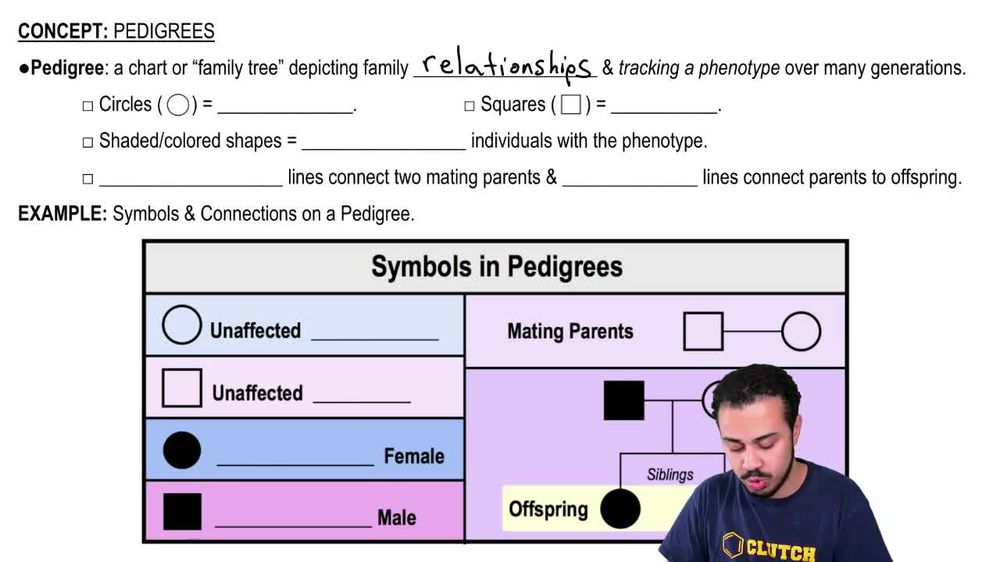 GCSE Biology - Family Trees / Family Pedigrees #74 | Pearson+ Channels