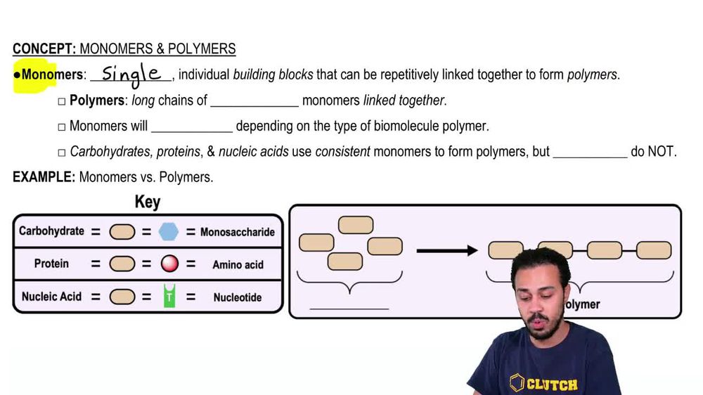 Animation: Making and Breaking Polymers | Pearson+ Channels