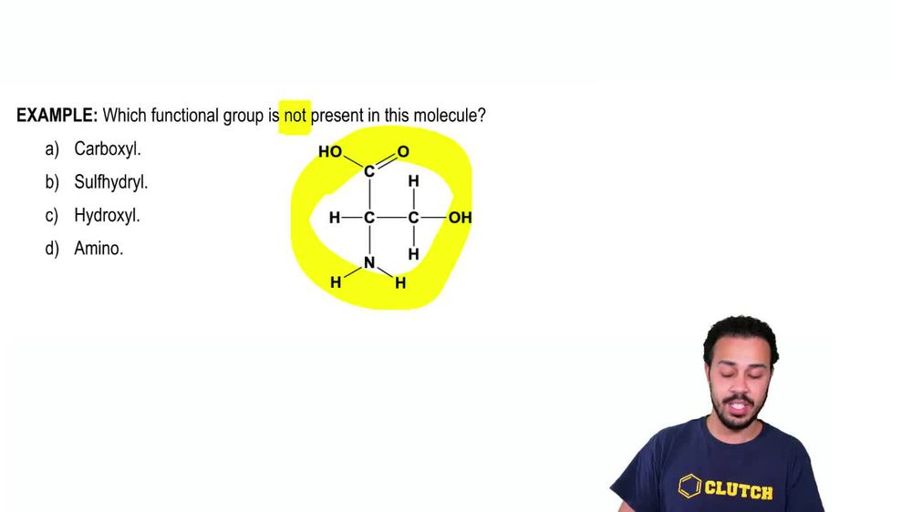 Functional Groups | Pearson+ Channels
