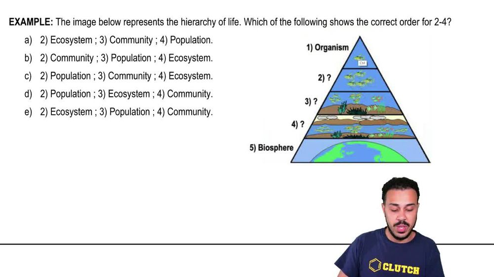 General Biology Video Tutorial & Practice | Pearson+ Channels
