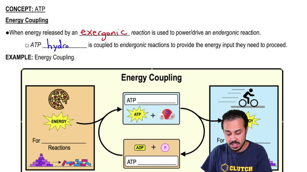 What is ATP's importance in the cell? | Pearson+ Channels