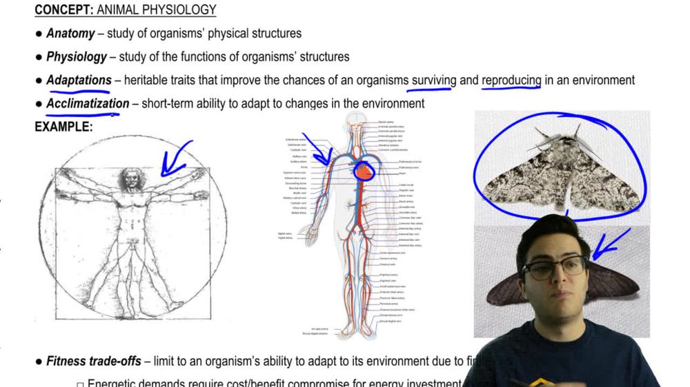 Muscle Tissue | Pearson+ Channels