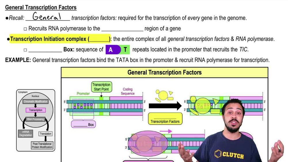 A high rate of gene transcription in eukaryotic cells is usually ... | Pearson+ Channels