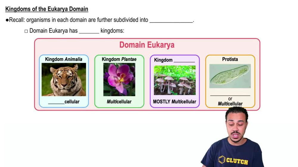 Kingdoms of the Eukarya Domain | Pearson+ Channels