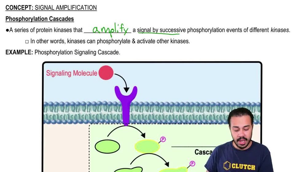 Calcium & IP3 Pathway | Pearson+ Channels