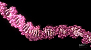 BioInteractive: Genetic Engineering | Pearson+ Channels