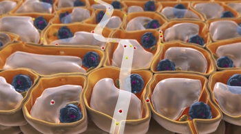 BioFlix: From Soil Into Roots | Pearson+ Channels