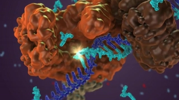 BioFlix: DNA Replication | Pearson+ Channels