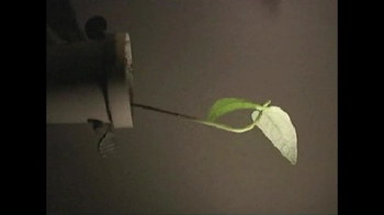 Animation: Binding of Hormones | Pearson+ Channels