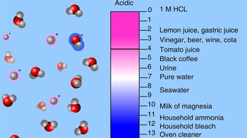 Animation: Acids, Bases, and pH | Pearson+ Channels