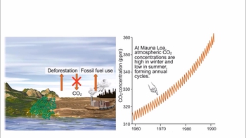 BioFlix: The Carbon Cycle | Pearson+ Channels