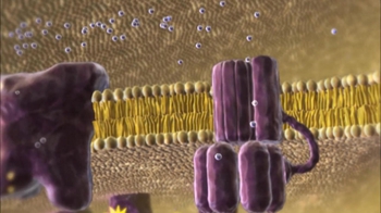 BioFlix: Photosynthesis | Pearson+ Channels