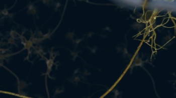 Synapse | Neurones | GCSE Biology (9-1) | kayscience.com | Pearson+ ...