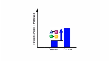 What is ATP's importance in the cell? | Pearson+ Channels