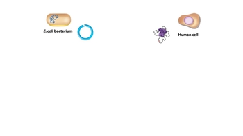 2) Transform Recombinant DNA into Bacteria | Pearson+ Channels