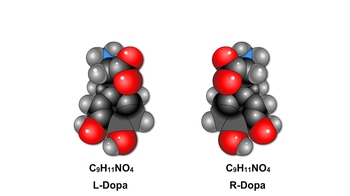 A molecule has one carbon-carbon double bond and four monovalent ...